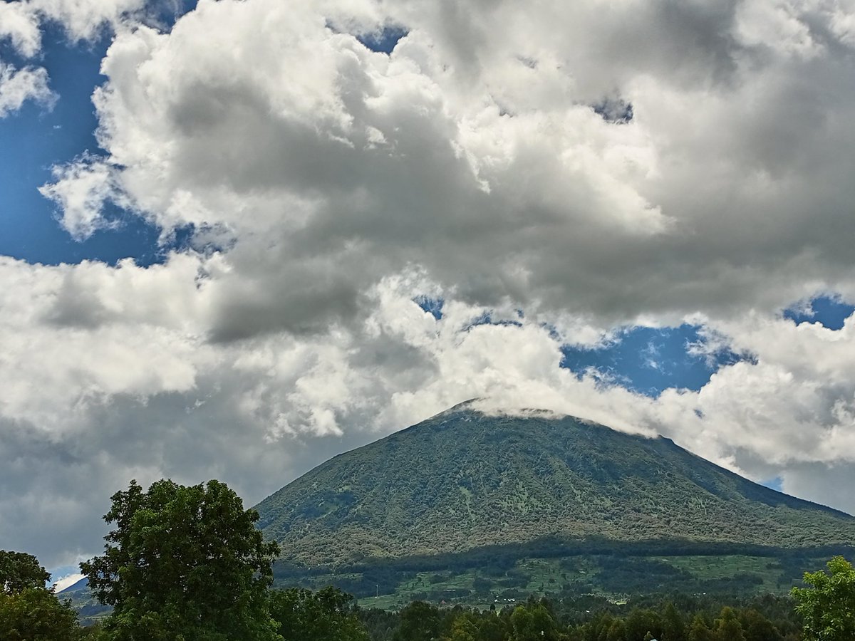 Mafia-Pariki y’igihugu y’Ibirunga: Baragira inka imyaka yabo, bagahabwa ...